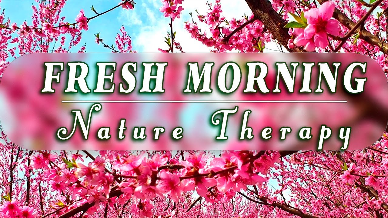 🌷͙֒🌞GOOD MORNING SPRING🌷Nature Therapy to Start Your Day with Positive ...
