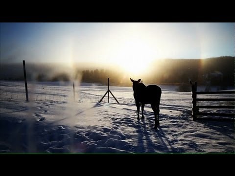 Fäviken Magasinet | Into the Wild - YouTube