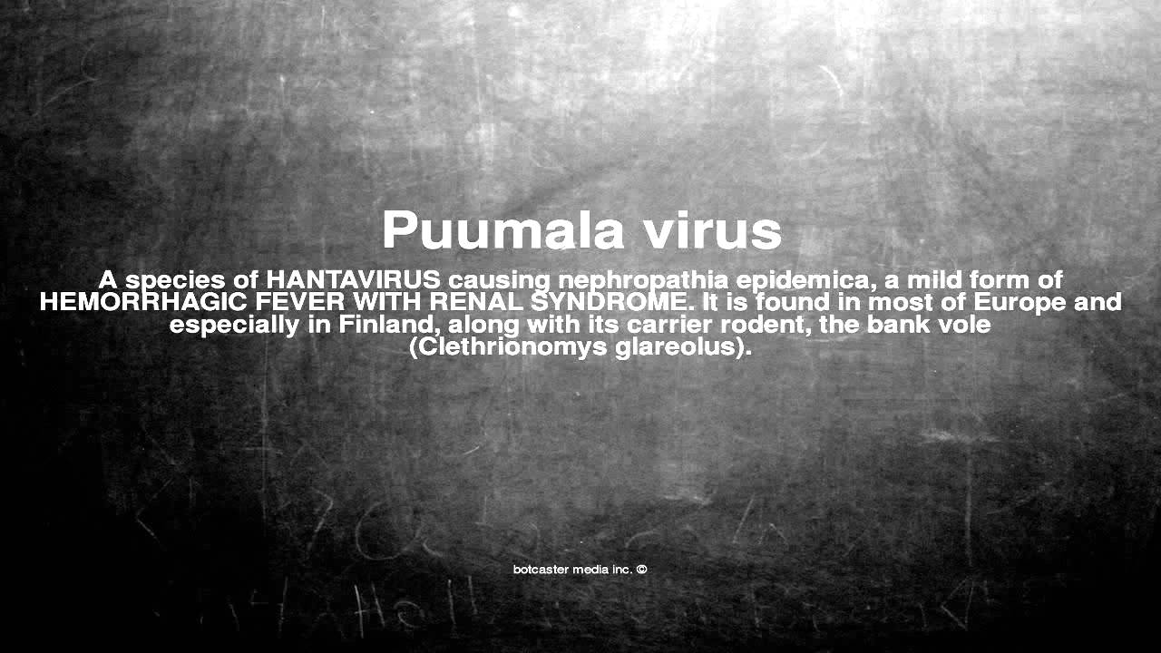 Medical vocabulary: What does Puumala virus mean - YouTube