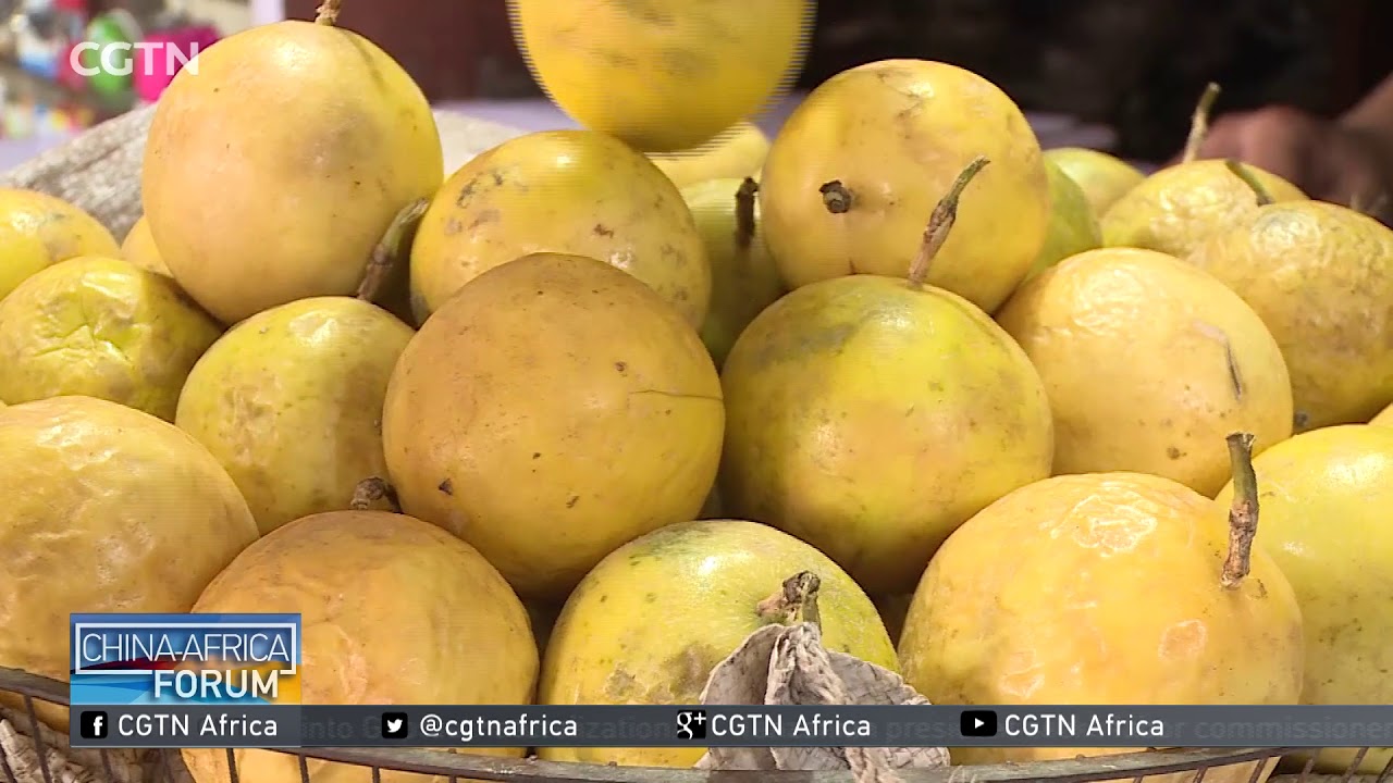 Chinese entrepreneurs in DR Congo learn Lingala to grow business - YouTube