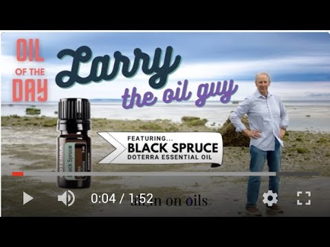 OIL OF THE DAY - Black Spruce Essential Oil, by Larry the Oil Guy - YouTube
