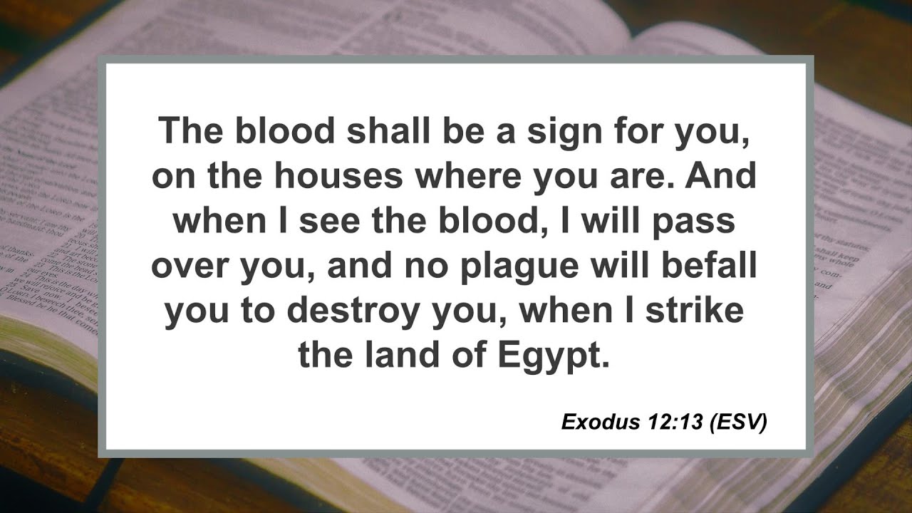 Evening Worship: Sermon ""The Passover Lamb” Exodus 12:1-28 - YouTube