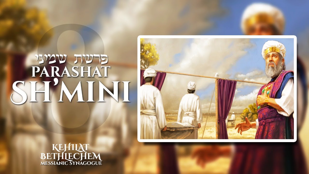 Torah Portion | Shemini — שמיני | Eighth - YouTube
