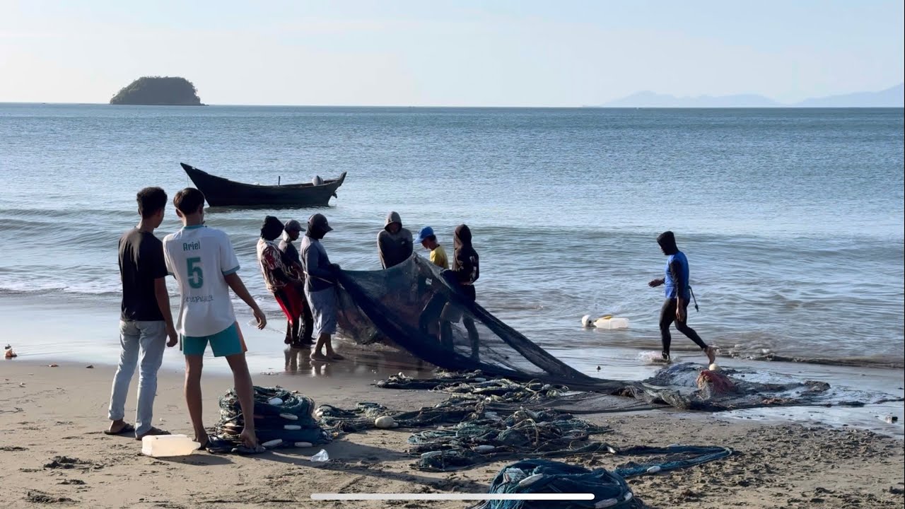 Insane! This Is How Fishermen Catch Big Fish Using Seine Net! - YouTube
