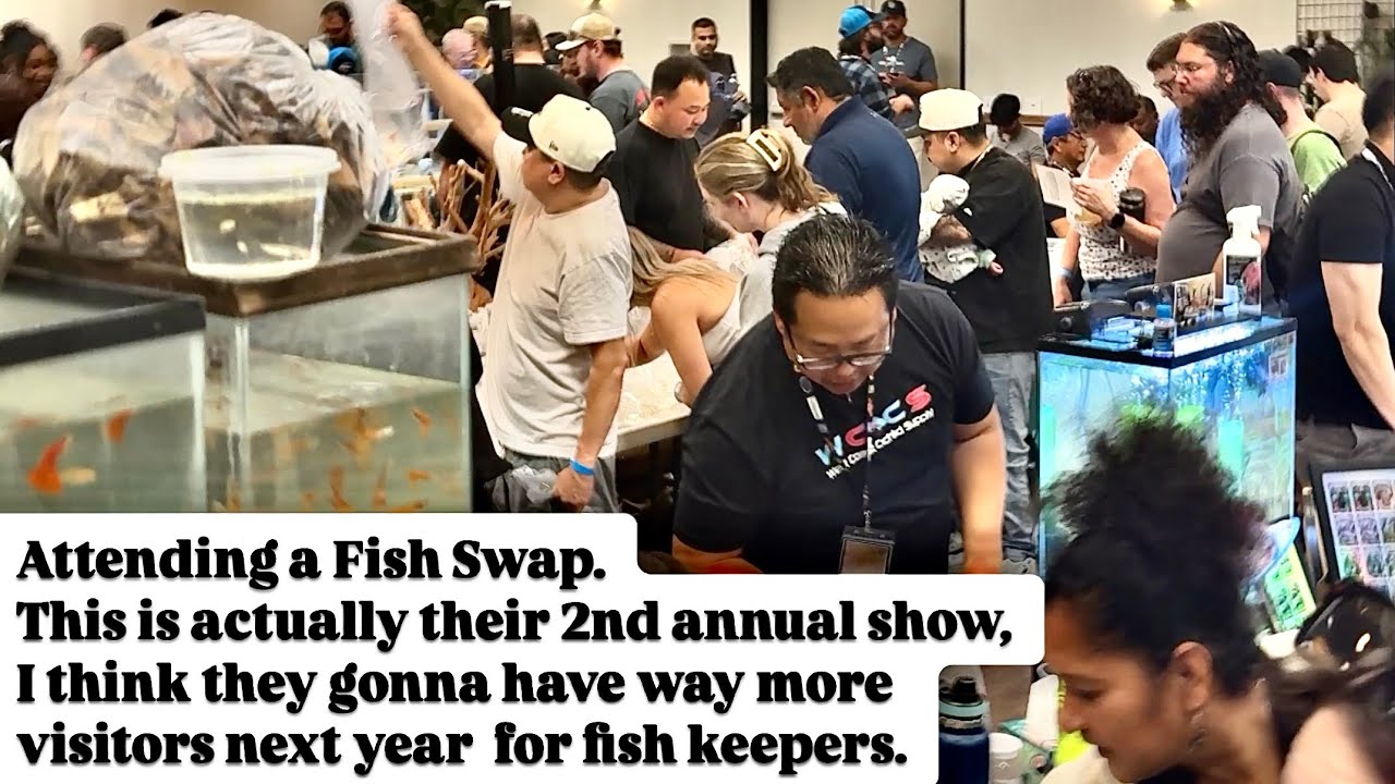 Attending an Aqua Swap / Fish Swap in Fountain Valley, California ...