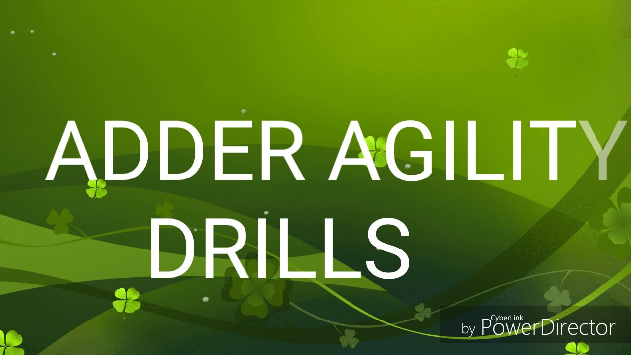 Ladder Agility Drills (Two-foot lateral hop and Ali-shuffle) - YouTube