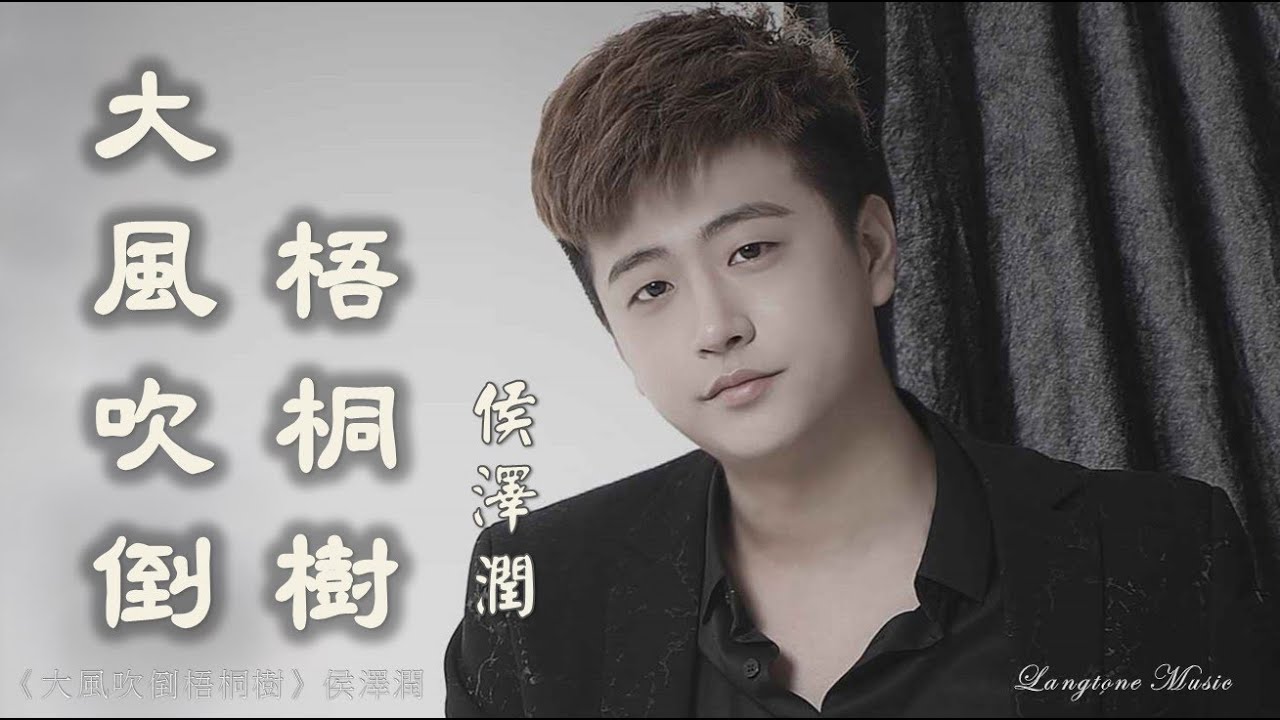 大風吹倒梧桐樹 Da feng chui dao wu tong shu 侯澤潤 Hou Ze Run #動態歌詞 Pinyin/Lyrics ...