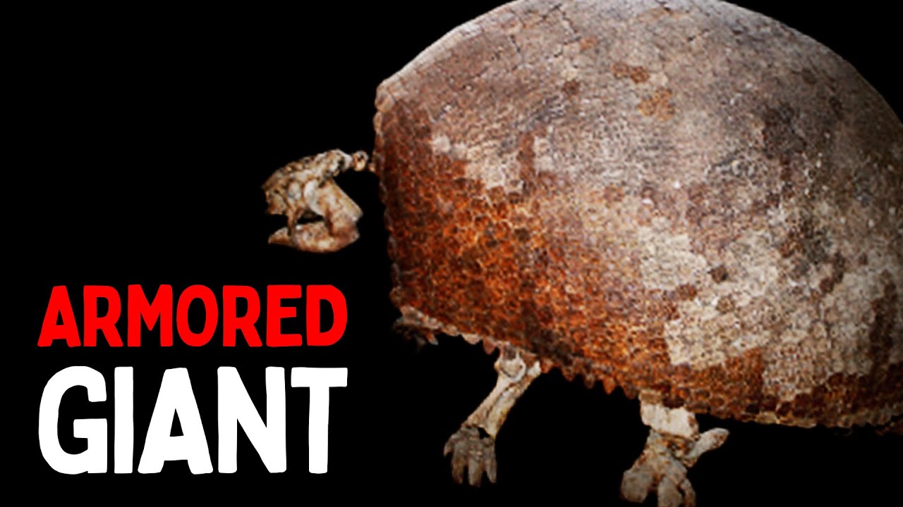The Armored Giant That Ruled the Ice Age – Why It Fell? | Glyptodon ...