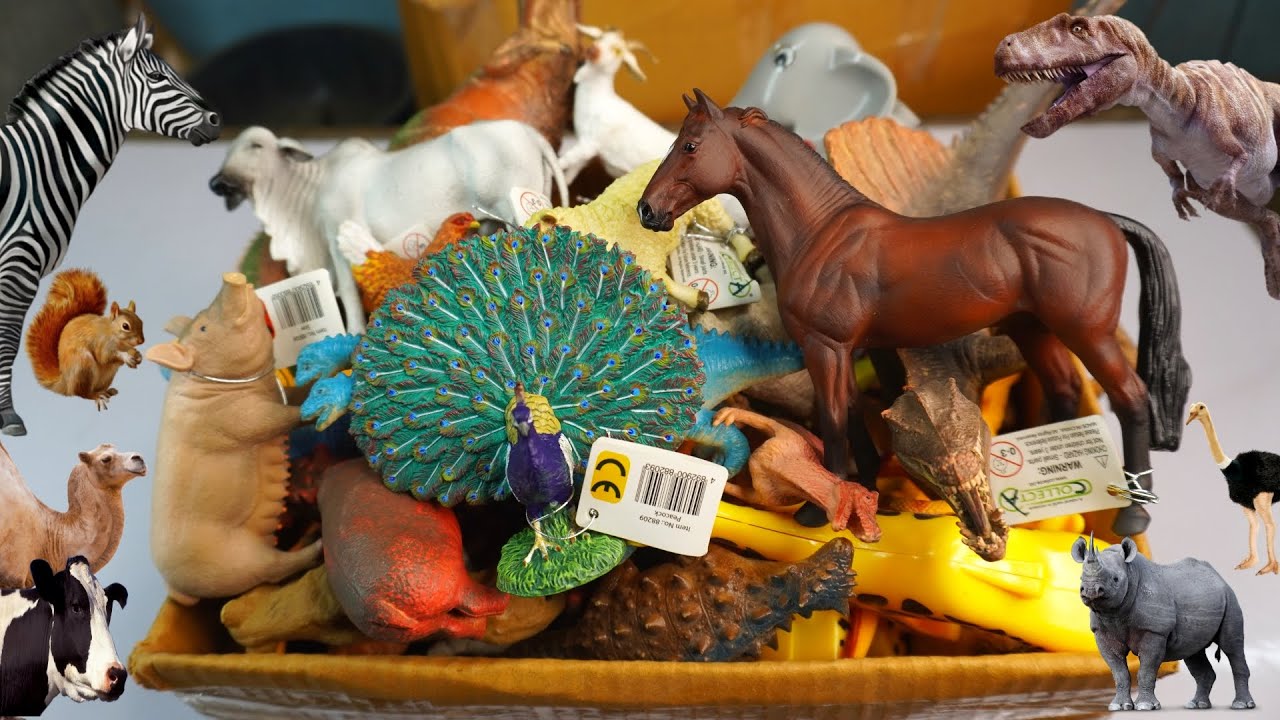 sea animals entertainment 13+ dinosaur elephant horse tiger gorilla ...