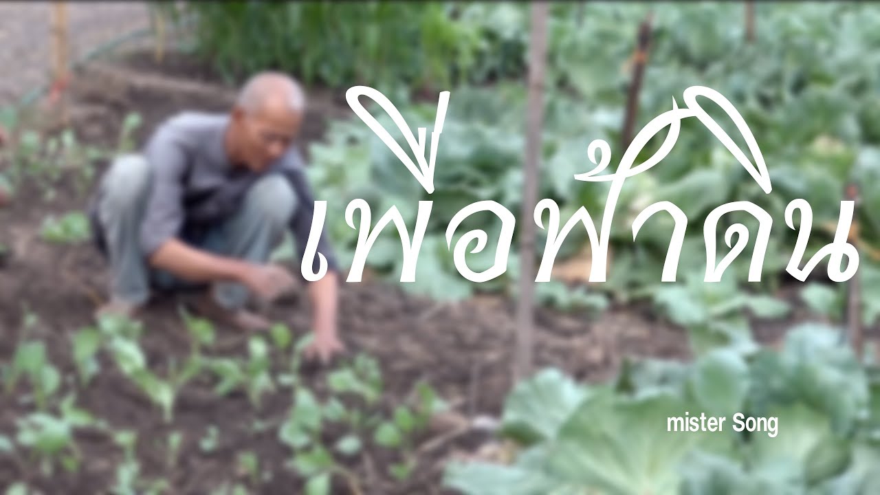 เพื่อฟ้าดิน (Official) mister Song - YouTube