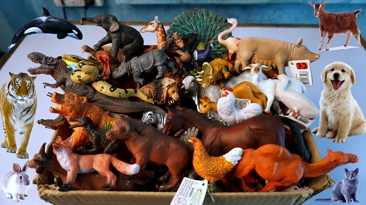 sea animals+ entertainment 13+ dinosaur cow zebra black elephant sheep ...