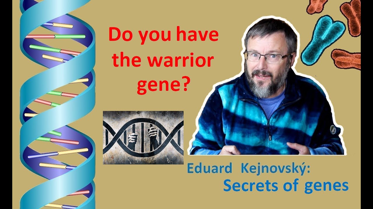 Is aggression in your DNA? Do you carry the warrior gene? (Secrets of ...