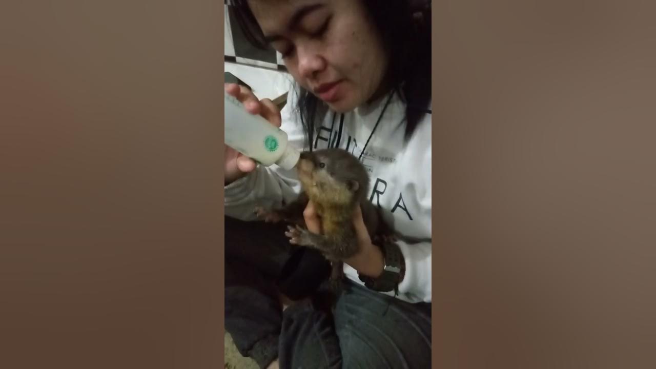 Mimi cucu...part 2 - YouTube