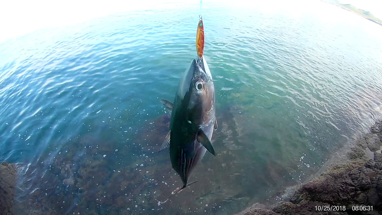 Pesca de Barrilete 02, Playas de Sonora - YouTube