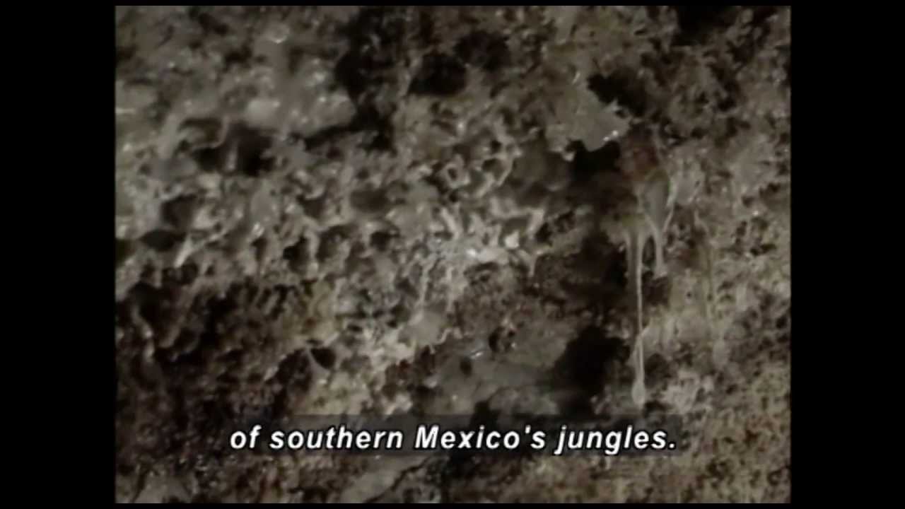 Nature's Chemical Wonder: Acid Caves Explored (Accessible Preview ...