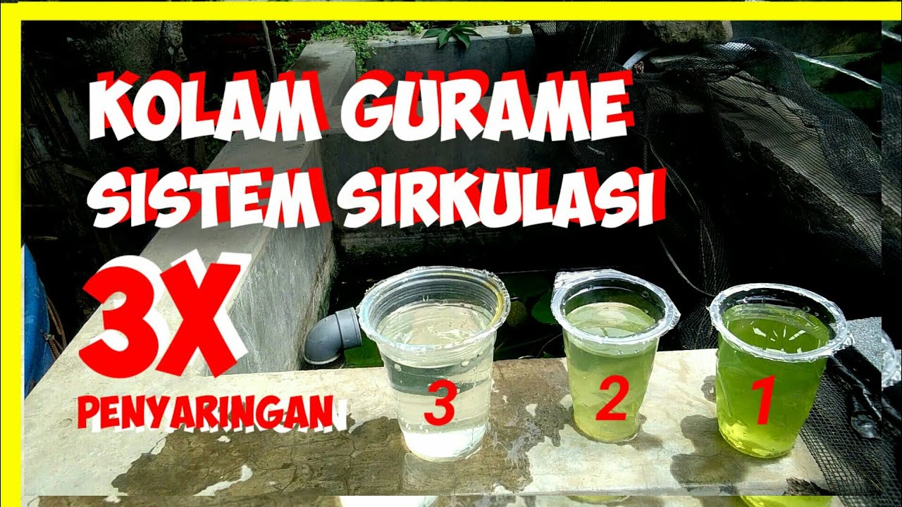 kolam ikan gurame-sistem sirkulasi - YouTube