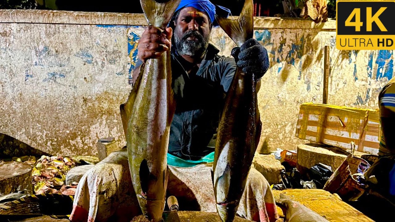 Kadora fish cutting video/fishcuttingrs#fish #fishcuttingrs #kasimedu ...