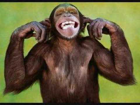 wee wee monkey sounds - YouTube
