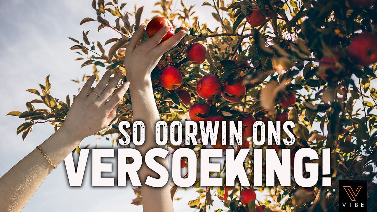 SO OORWIN ONS VERSOEKING! (DEEL 1) - 27 AUGUSTUS 2023 (VIBE) - YouTube