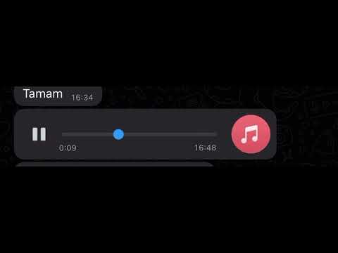 Bir günüm daha geçer mi sensiz