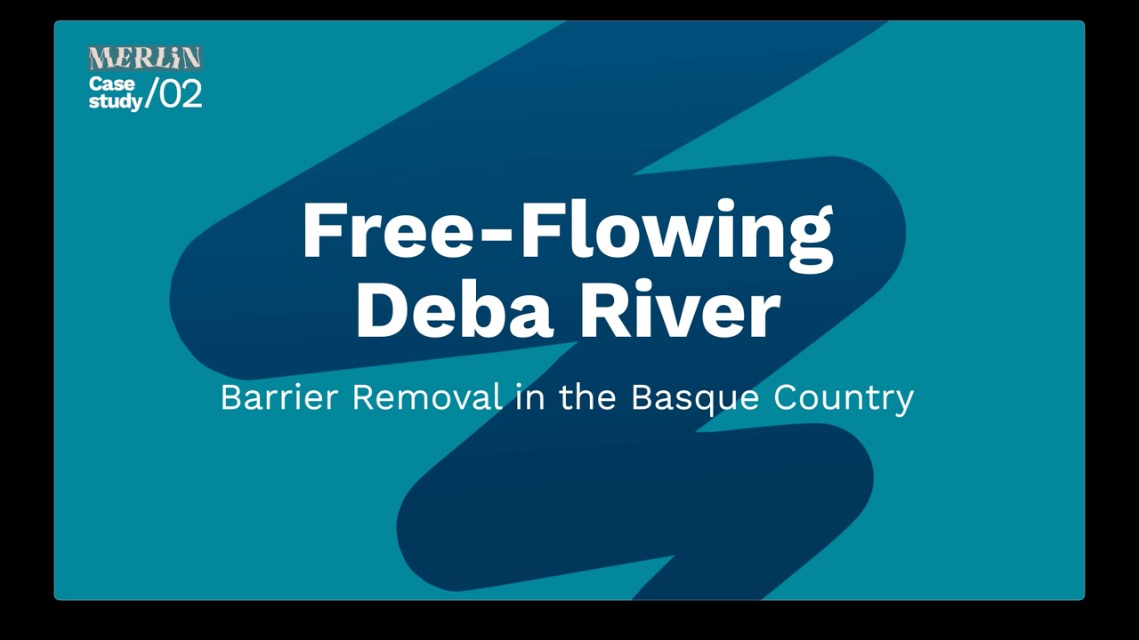 MERLIN case study 02 - YouTube