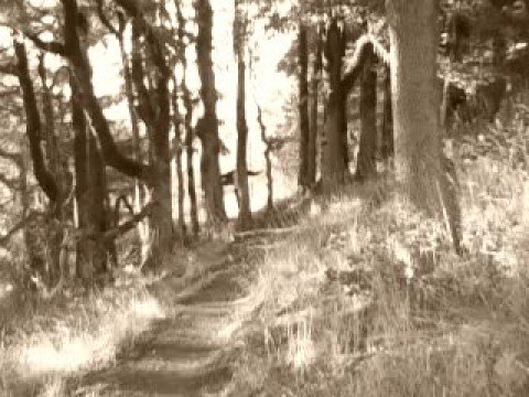 Orphan Trains song (original song by The Orphan Trains)