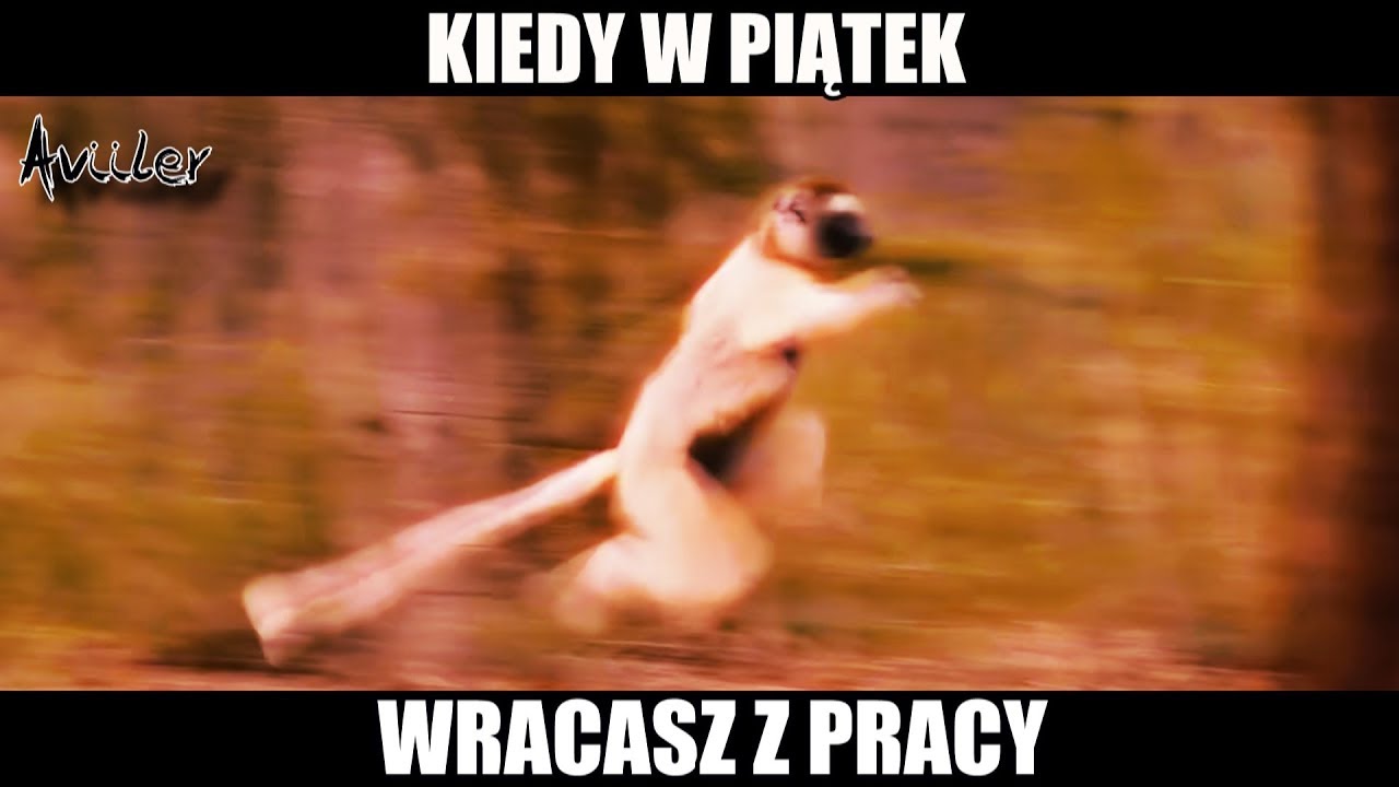 KIEDY W PIĄTEK WRACASZ Z PRACY 😎👌 - YouTube