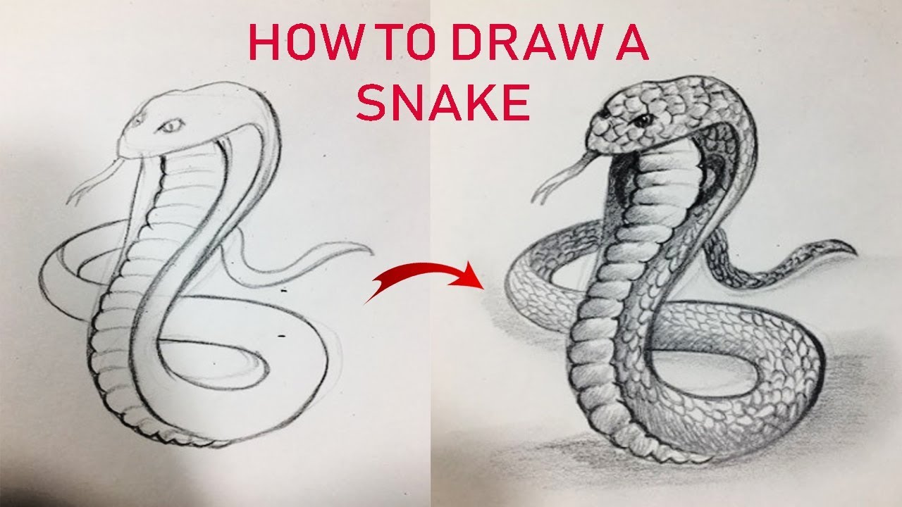 How to draw a snake | step by step drawing | Part 2 | Arpana's Art Room ...