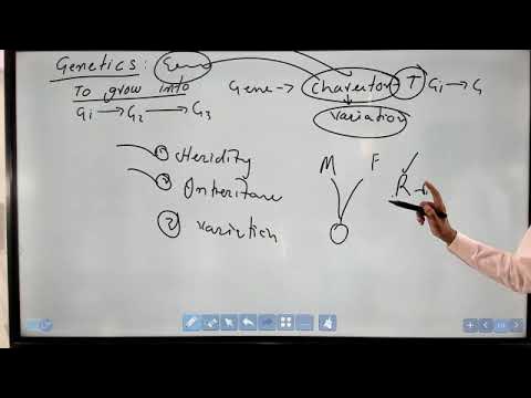 Genetics lecture 1 xii biology - YouTube