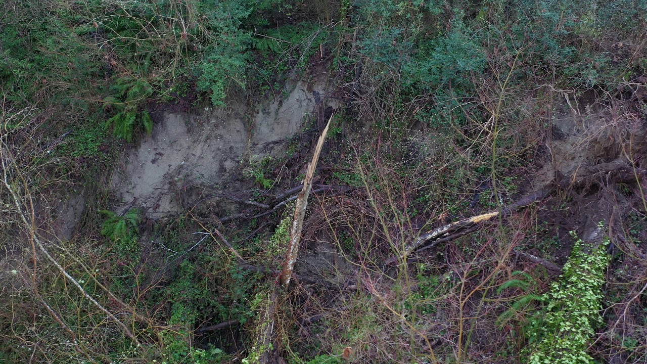 Ruth Johnson Park and Coldicutt Ravine - February 2020 Drone Footage ...