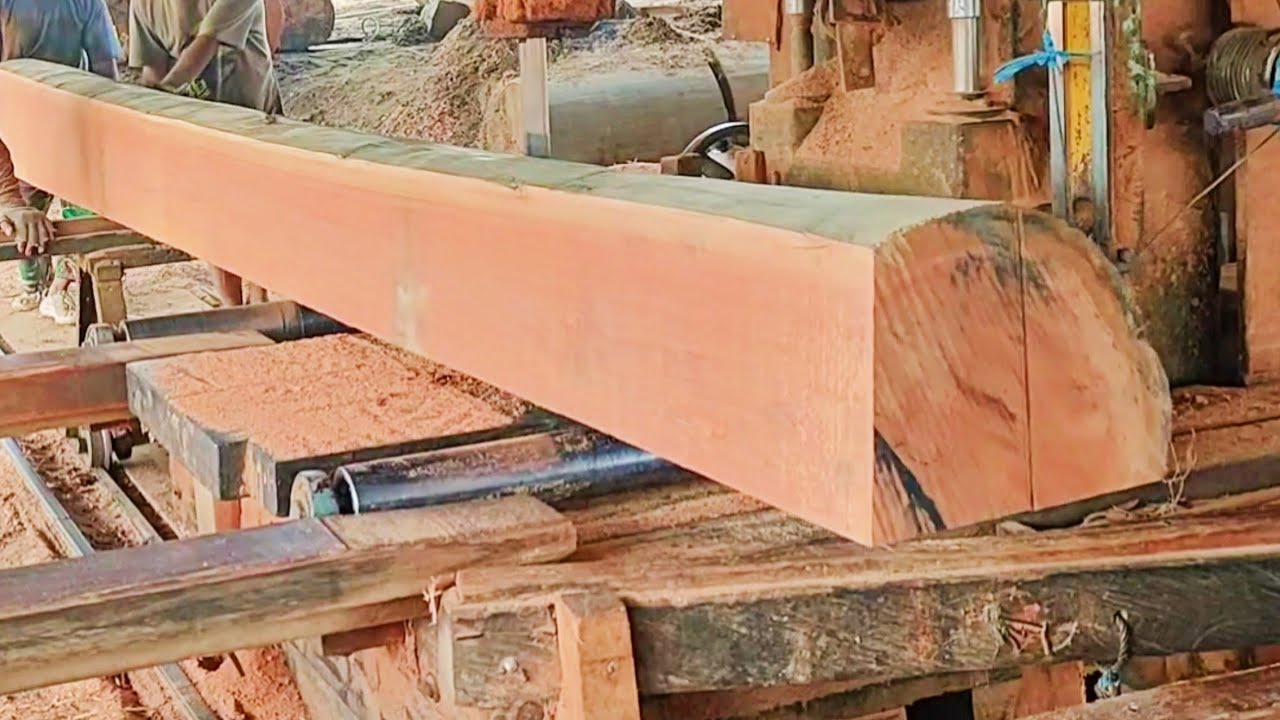 What Happens If Limewood Trees Are Put in a Sawmill? - YouTube