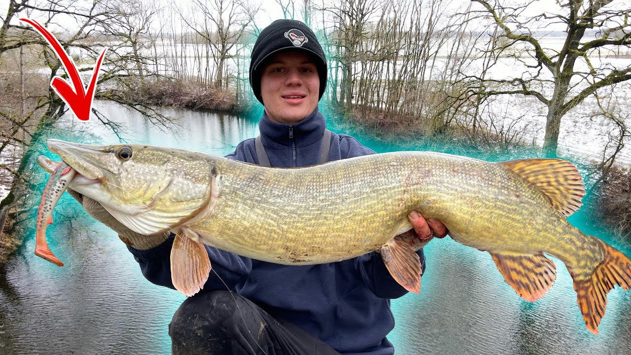 ANGLER FÄNGT RIESEN HECHT!!! - YouTube