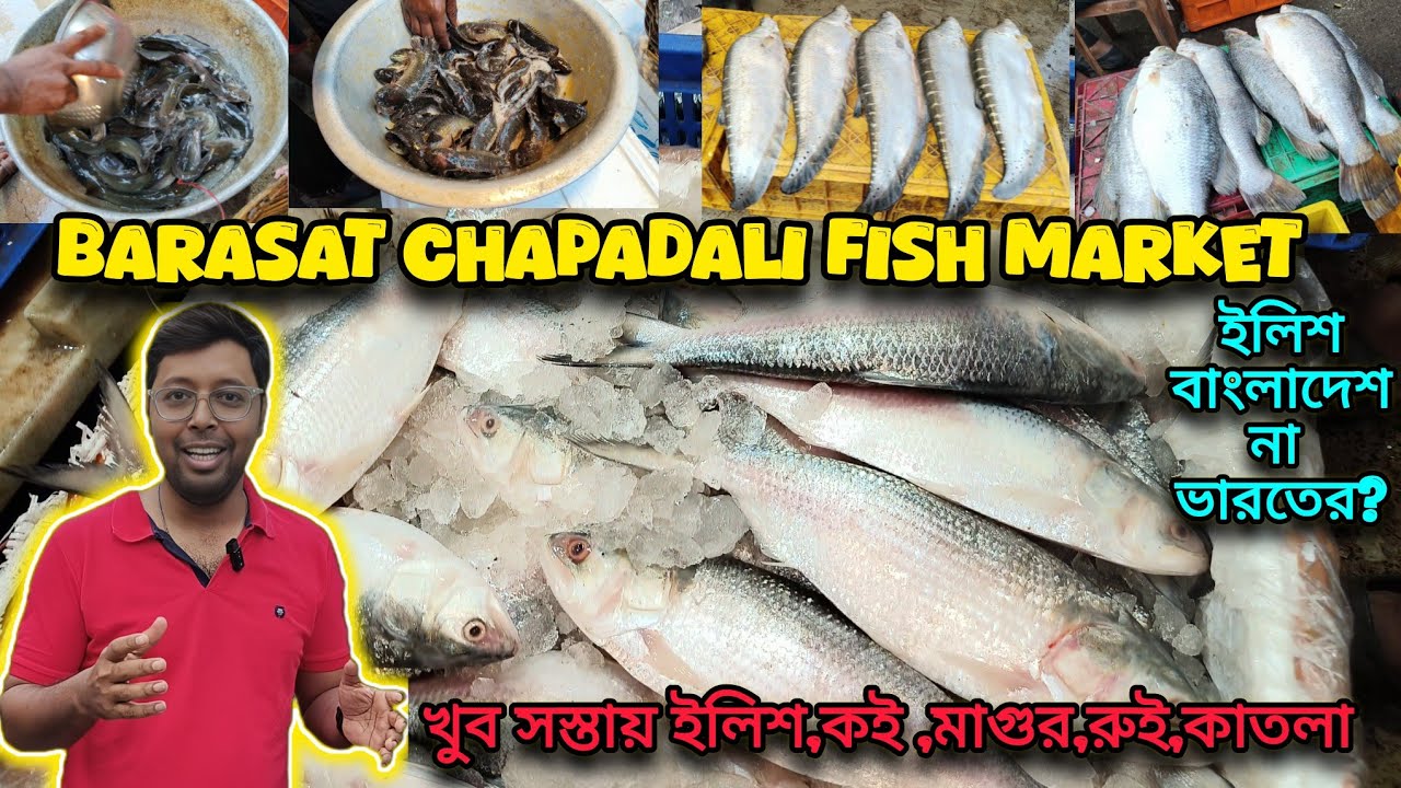 Cheapest Fish Market in Barasat Chapadali | Fresh Fish at Unbelievable ...
