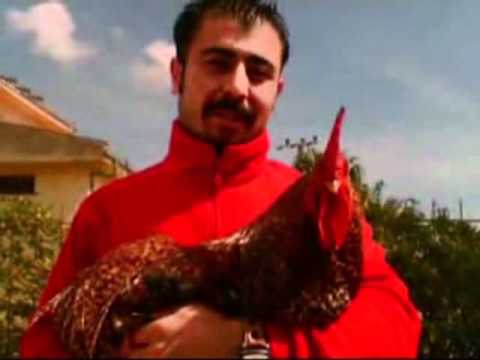 Basno da Basno - By MrDjNasko.mp4