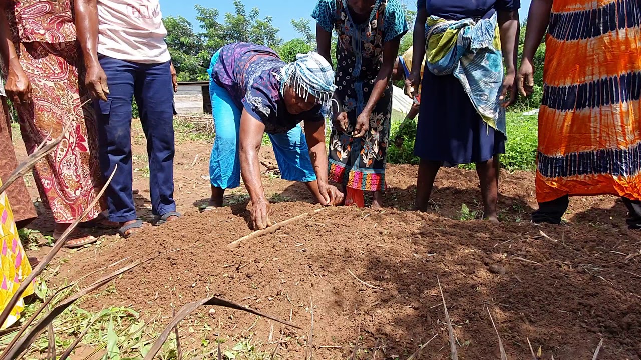 Agriculture Training - YouTube