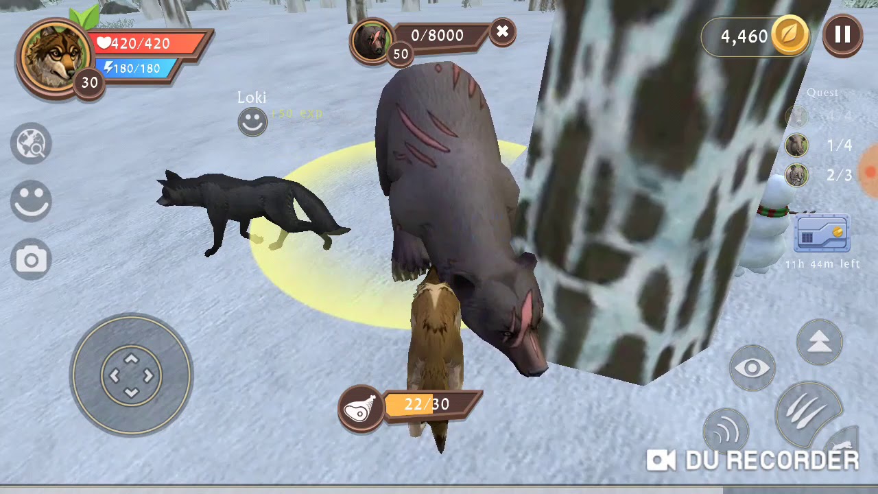 Wild craft - YouTube