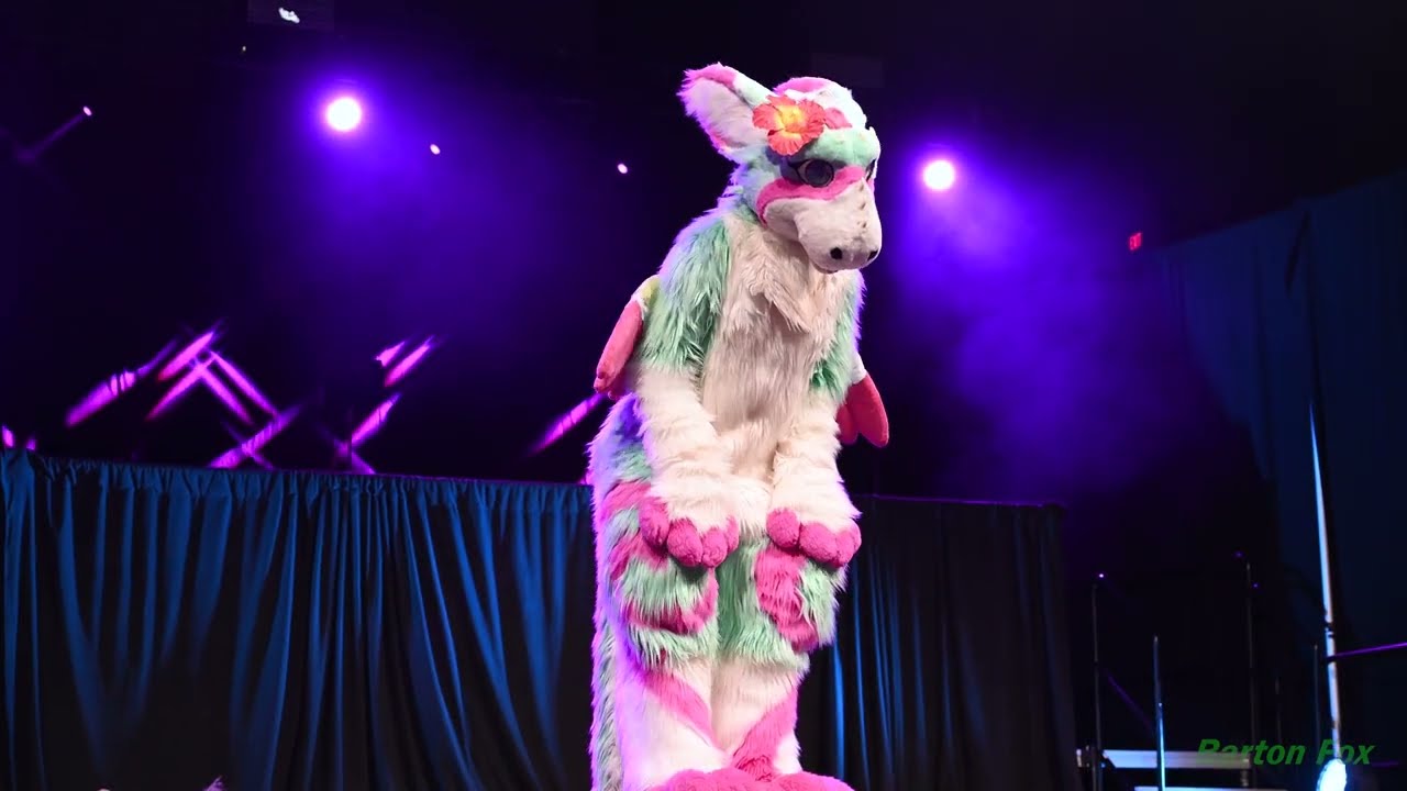 Anthrocon 2022 - Dance Competition - Lagoona - YouTube
