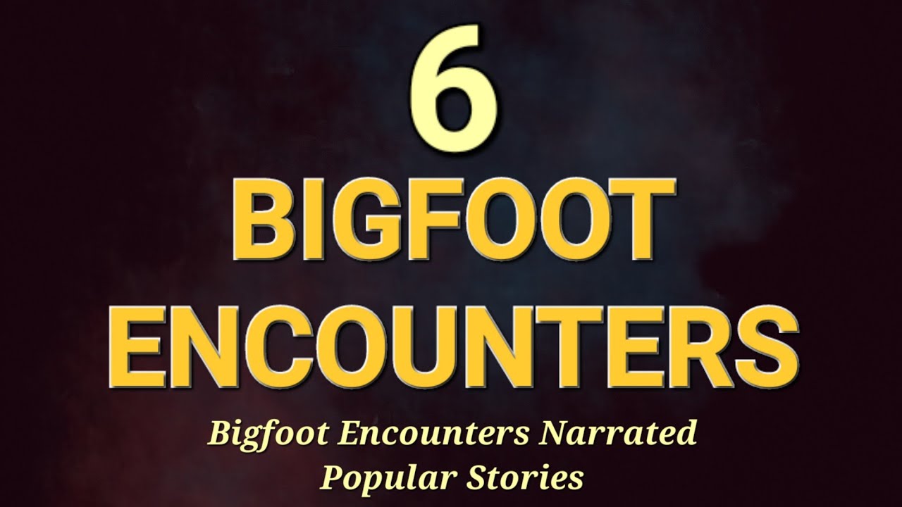 BEST OF BIGFOOT ENCOUNTERS NARRATED - POPULAR STORIES Volume 4 - YouTube