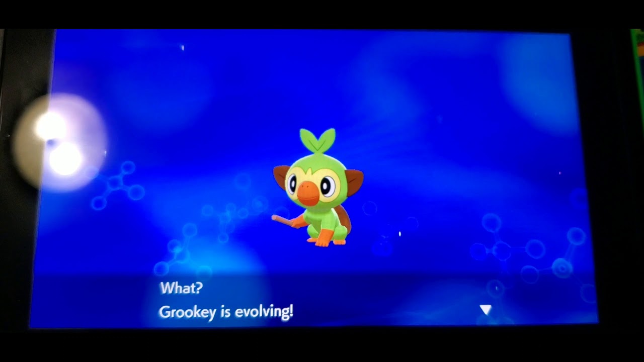 Pokemon Sword My Grookey Evolves into Thwackey - YouTube
