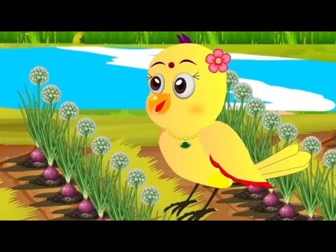Rano chidiya ki piyaz ki fasal🌿🧅🐦 - YouTube