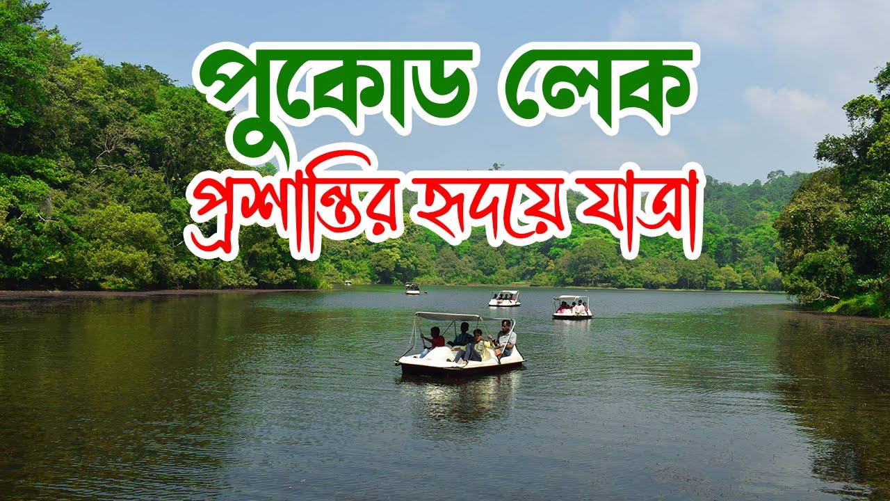 Discover Pookode Lake: Kerala's Hidden Gem in Wayanad | Boating, Nature ...