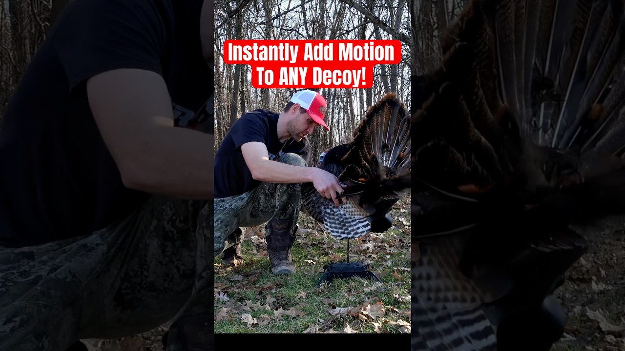 Lightning Fast Setup ⚡️🦃 Decoy Motion Made Easy! STRUTT’N 360 works ...