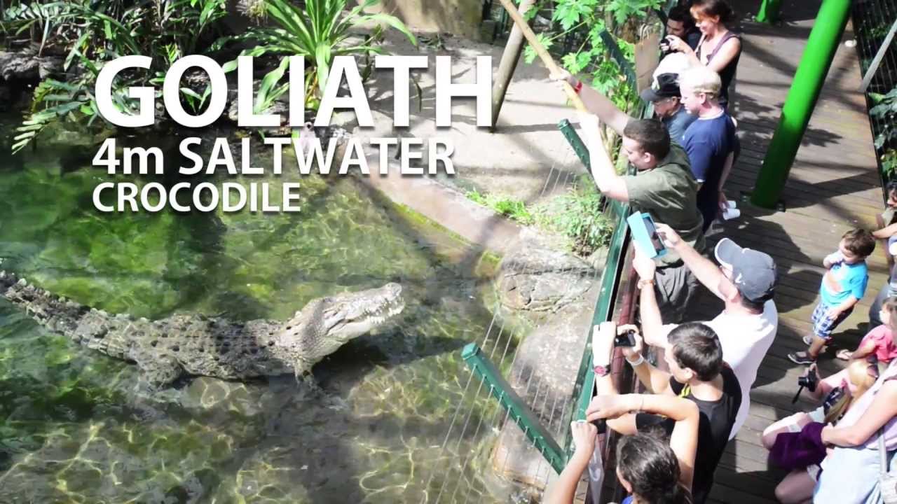 CaPTA Group Cairns - YouTube