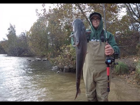 Potomac River BLUE CATFISH Fishing - YouTube