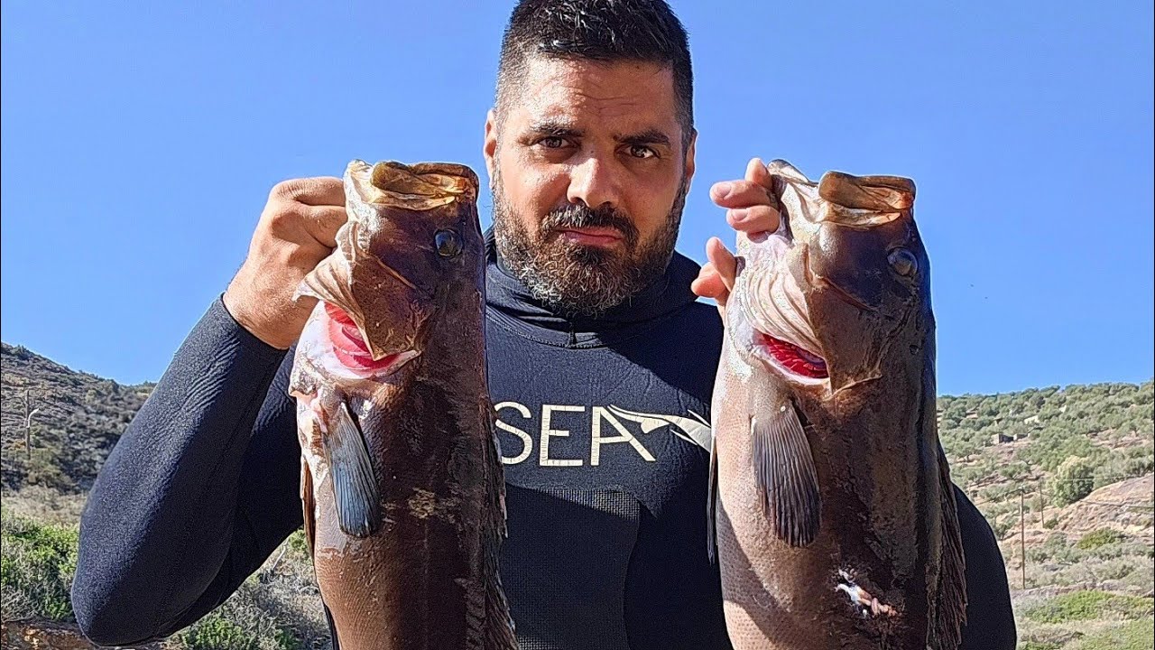 ΒΑΘΥΕΣ🐟ΜΕΓΑΛΕΣ🤿ΣΤΗΡΕΣ🪼ΣΤΟ🪸ΨΑΡΟΝΤΟΥΦΕΚΟ🇬🇷🇨🇾MY🤿DEEPEST🔱GOLDEN🪙GROUPERS🐙IN ...