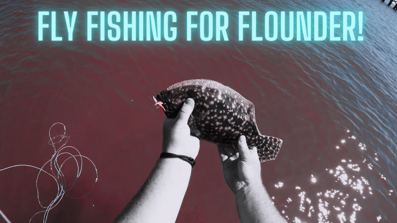 Saltwater Fly Fishing for Flounder! #flyfishing #fishing #fishingvideo ...