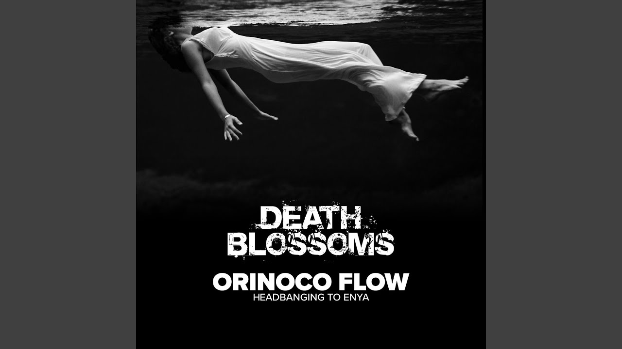 Orinoco Flow (Sail Away) - Instrumental - YouTube