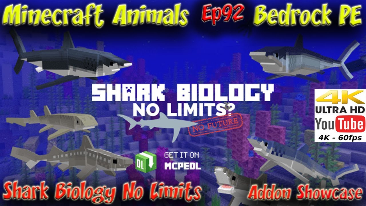 Shark Biology Addon No Limits Update Animal Showcase 4k 60fps Minecraft ...
