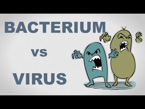 Viruses and Bacteria: What's the difference and who cares anyway? - Plain and Simple