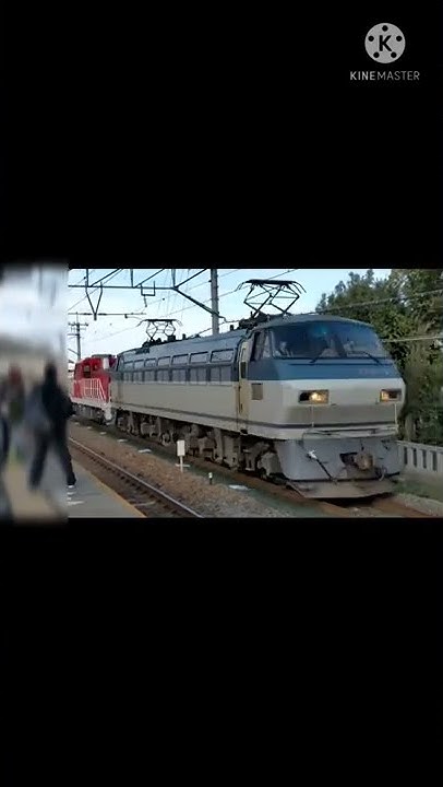 EF66-125牽引 DD200-13 配給 島本通過 Miaの鉄道ショートムービー100 #short - YouTube